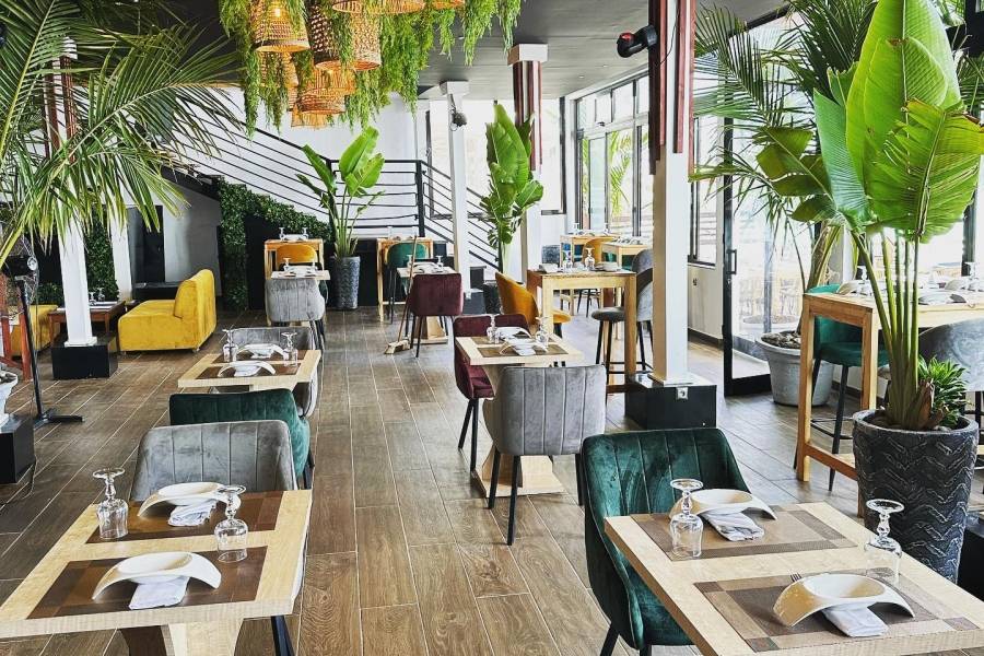 The Jungle : Une expérience culinaire exotique à Dakar