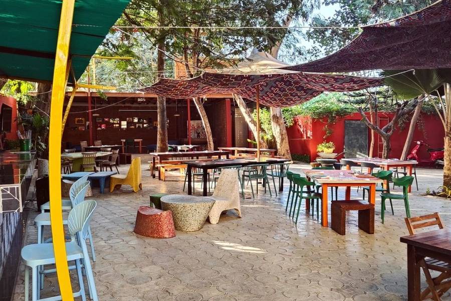 La Favela de Dinota : Cuisine et Culture au Cœur de Dakar