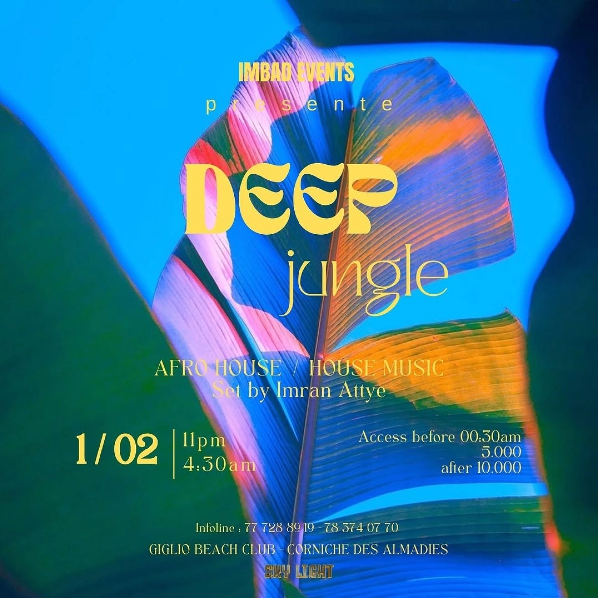 🌿 DEEP JUNGLE 🎶