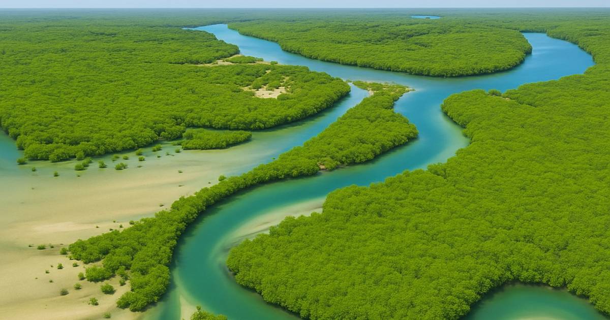 Parc national du Delta du Saloum : Écosystème d'exception au Sénégal