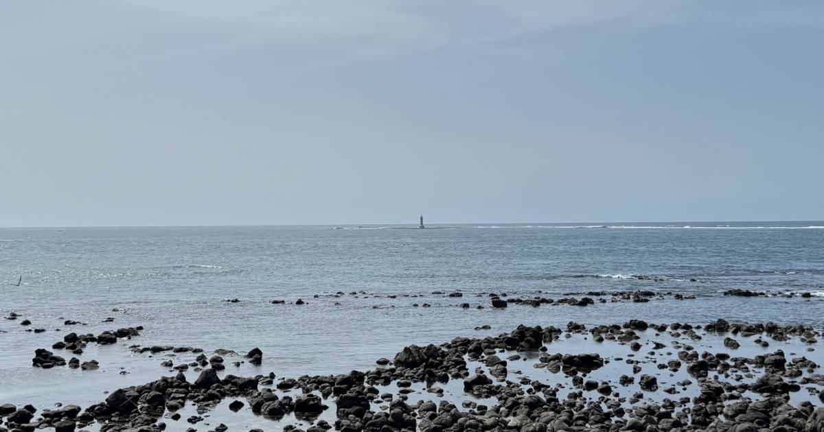Où Manger à la Pointe des Almadies ? Découvrez Yoka Lounge, Kraken Pub