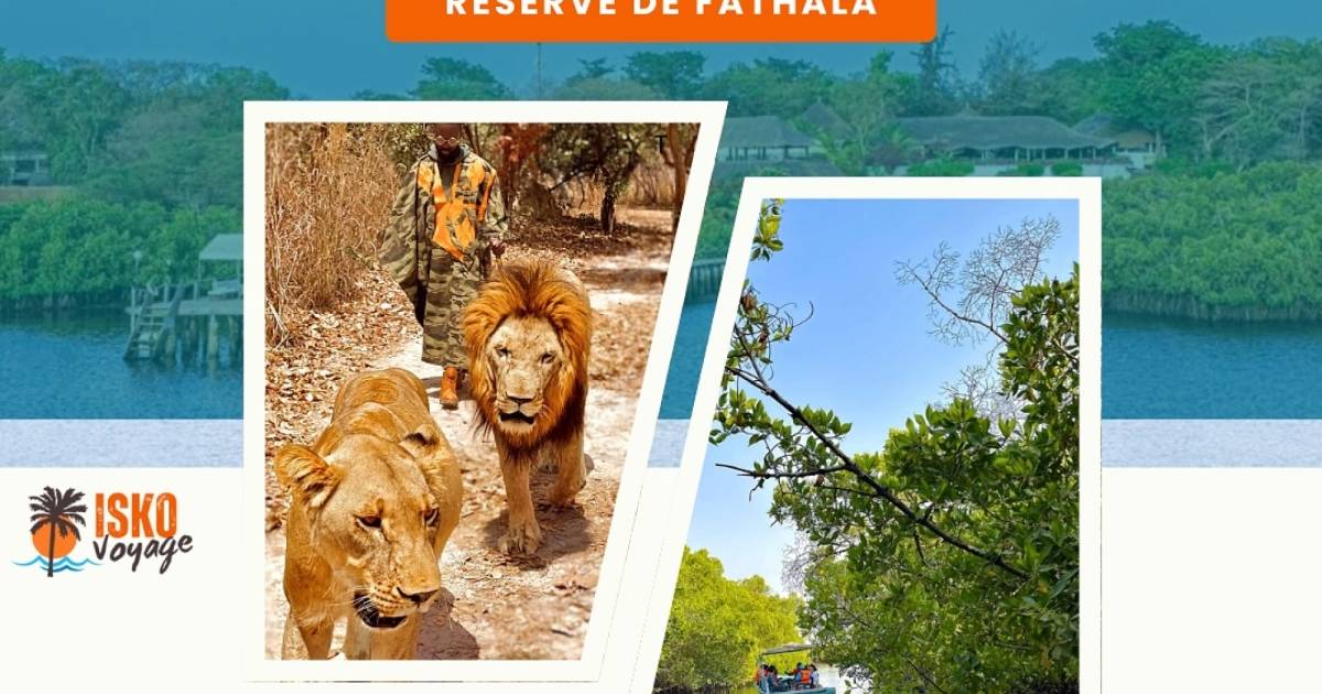 🦁 Excursion à la Réserve de Fathala – Dimanche 27 Juillet
