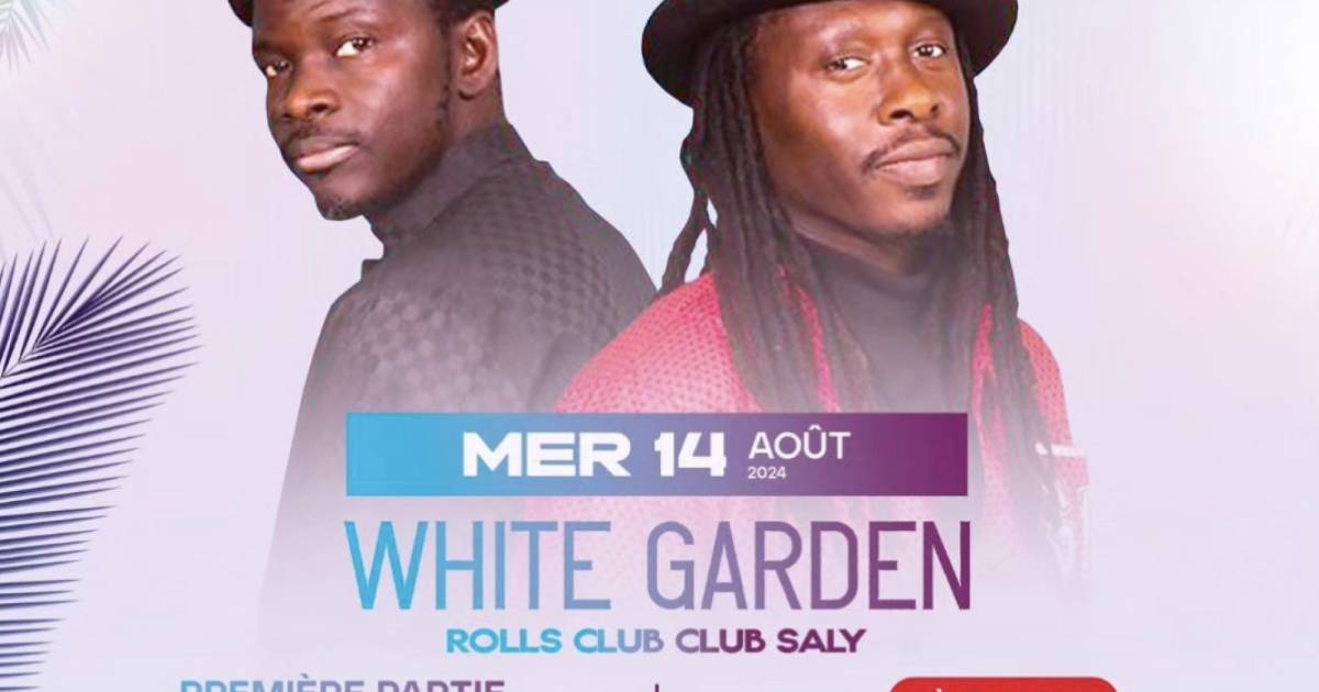 🎤 Concert de Daara J Family